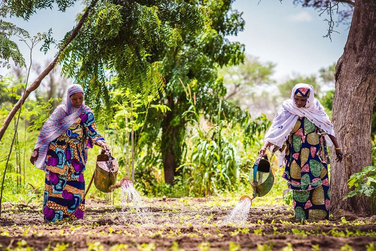 Global Food Security by the Numbers | Chicago Council on Global Affairs