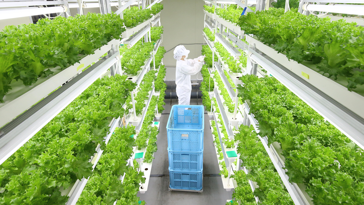 Techno-Farming, Recycling Manure, and Cutting Carbon | Chicago Council ...