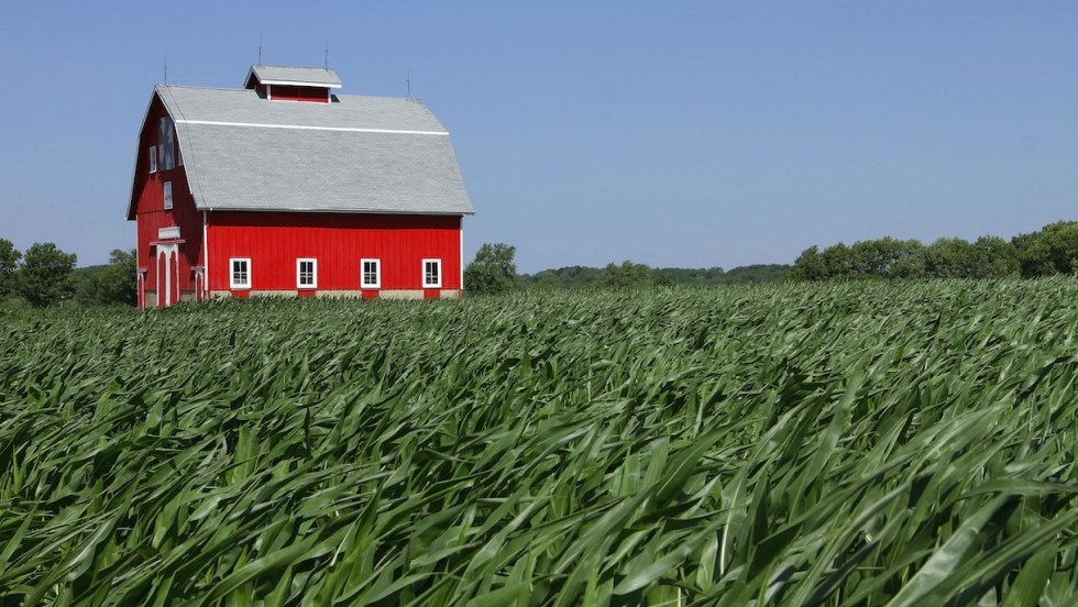 How Cover Crops Could Help the Midwestern Agriculture Business ...